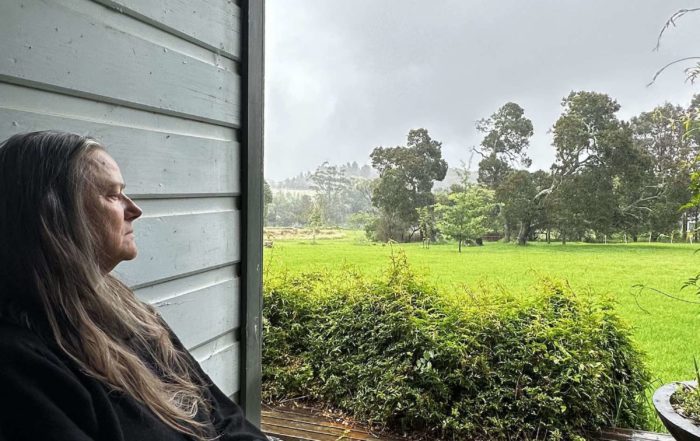 Collected Writings - Jane Hardwicke Collings